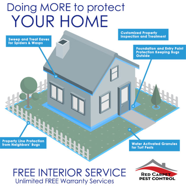 Pest Control - Pest Control exterminator for ants roaches bed bugs and ...